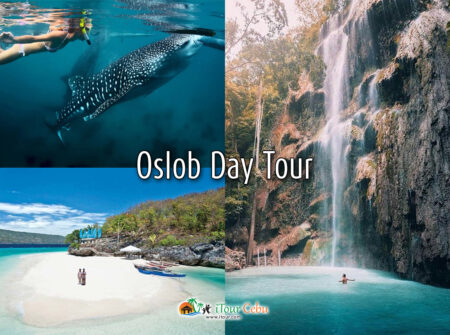 Oslob Day Tour - iTour Cebu