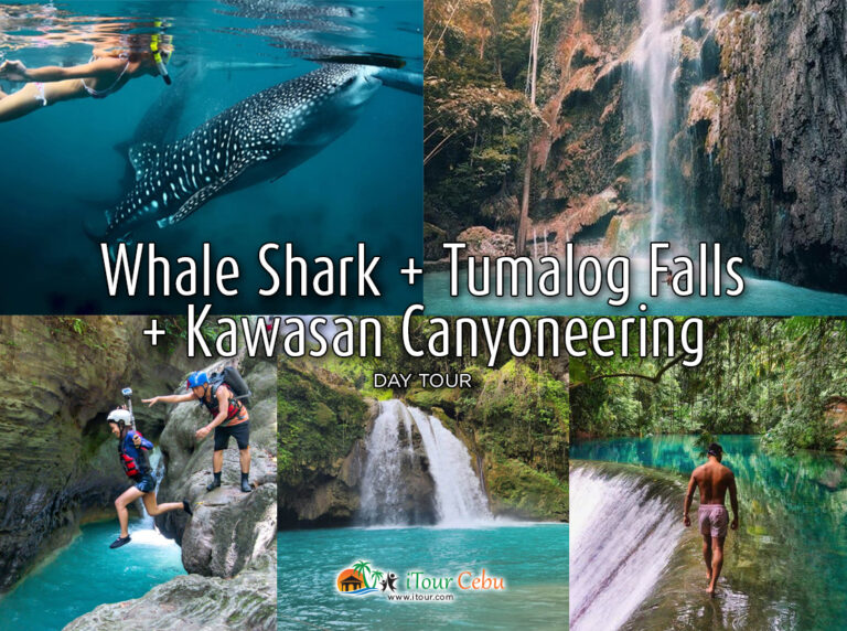 Whale Shark + Tumalog Falls + Kawasan Canyoneering Day Tour - iTour Cebu